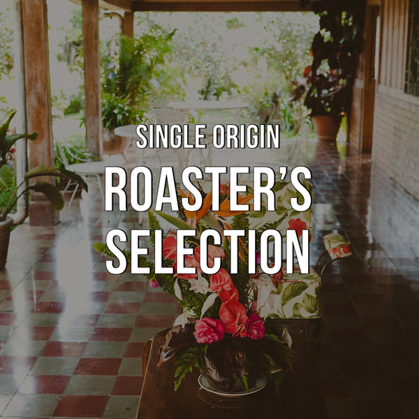 Roaster's Selection | Single Origin | Irving Farm New York